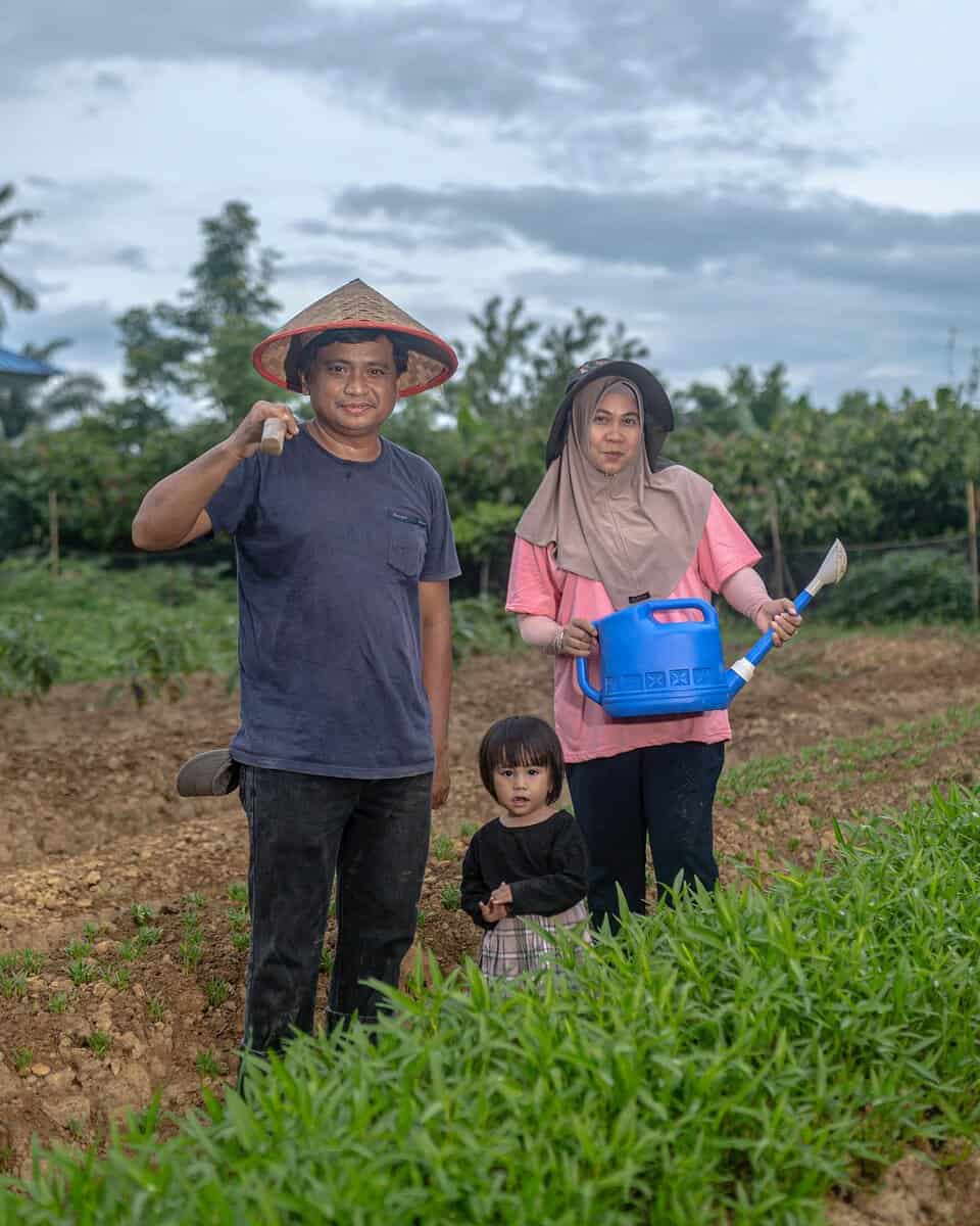 Berbagi Peran Keluarga dan Mengelola Kebun: Kisah Bu Irda dan Pak Andi ...